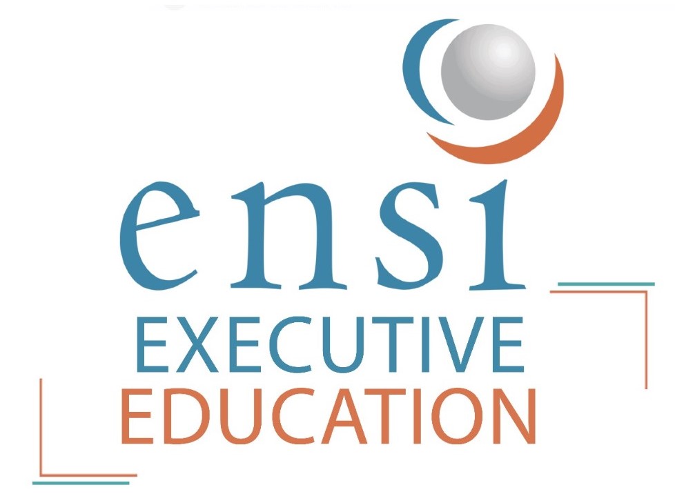 Logo ENSI
